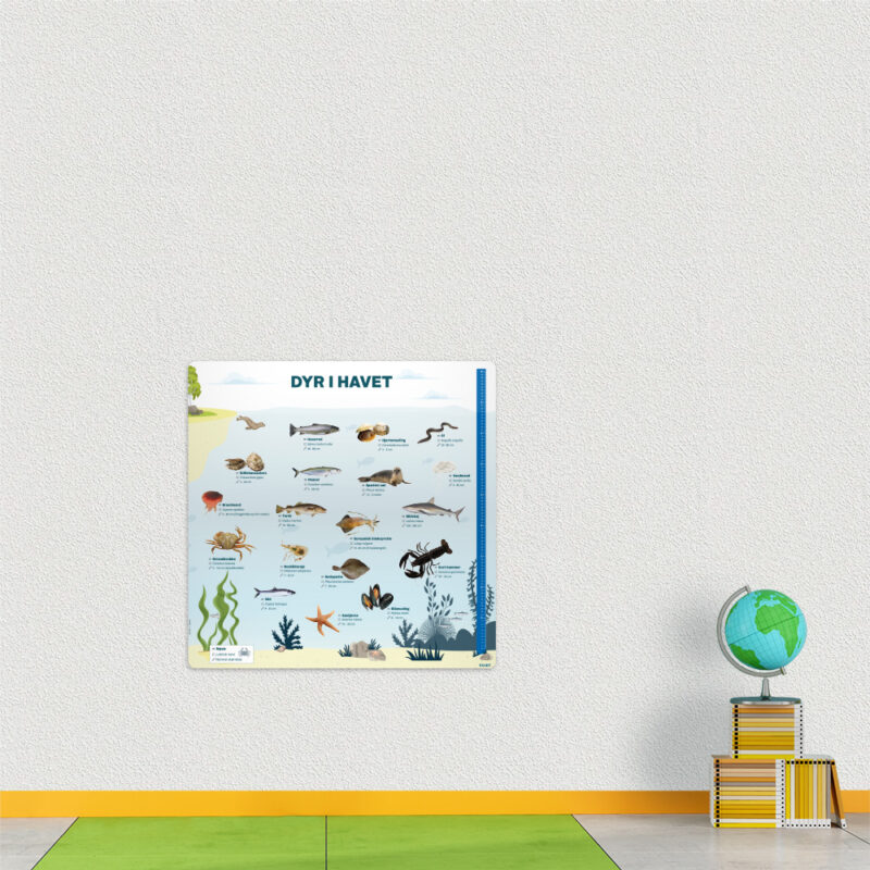 Læringstavle med Dyr i havet | EXAKT