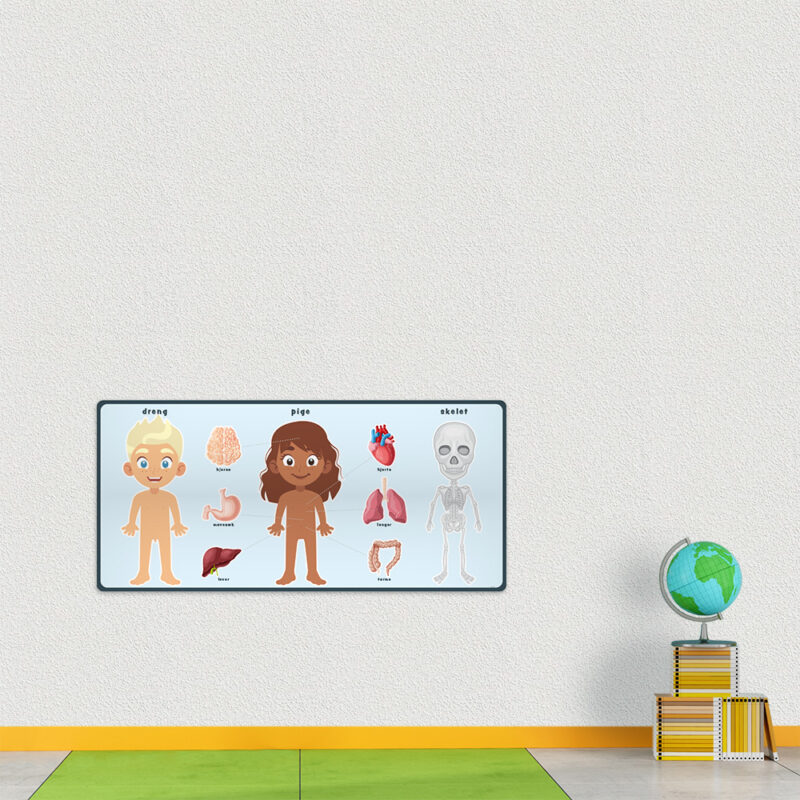 Min krop - til væg, hegn og mere | EXAKT